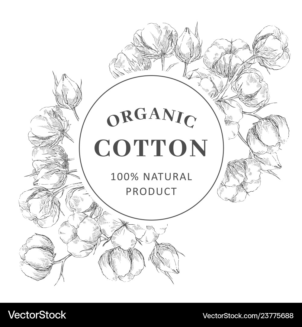 Frame with cotton branches Royalty Free Vector Image