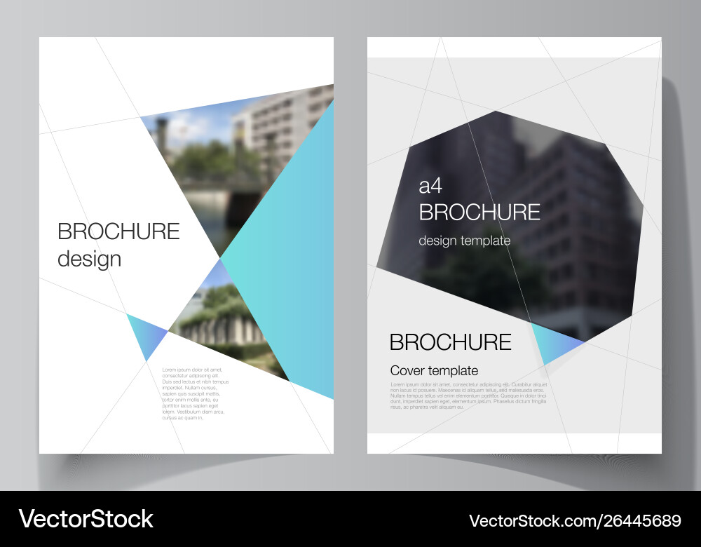 Layout a4 format modern cover Royalty Free Vector Image
