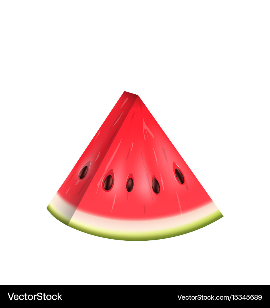 Realistic Watermelon Slice Royalty Free Vector Image
