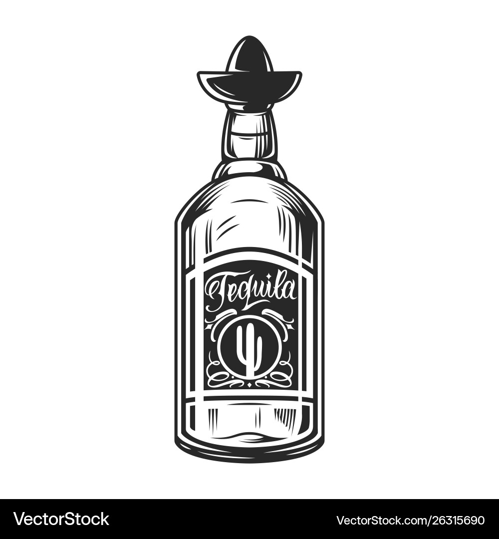 Bottle tequila concept Royalty Free Vector Image
