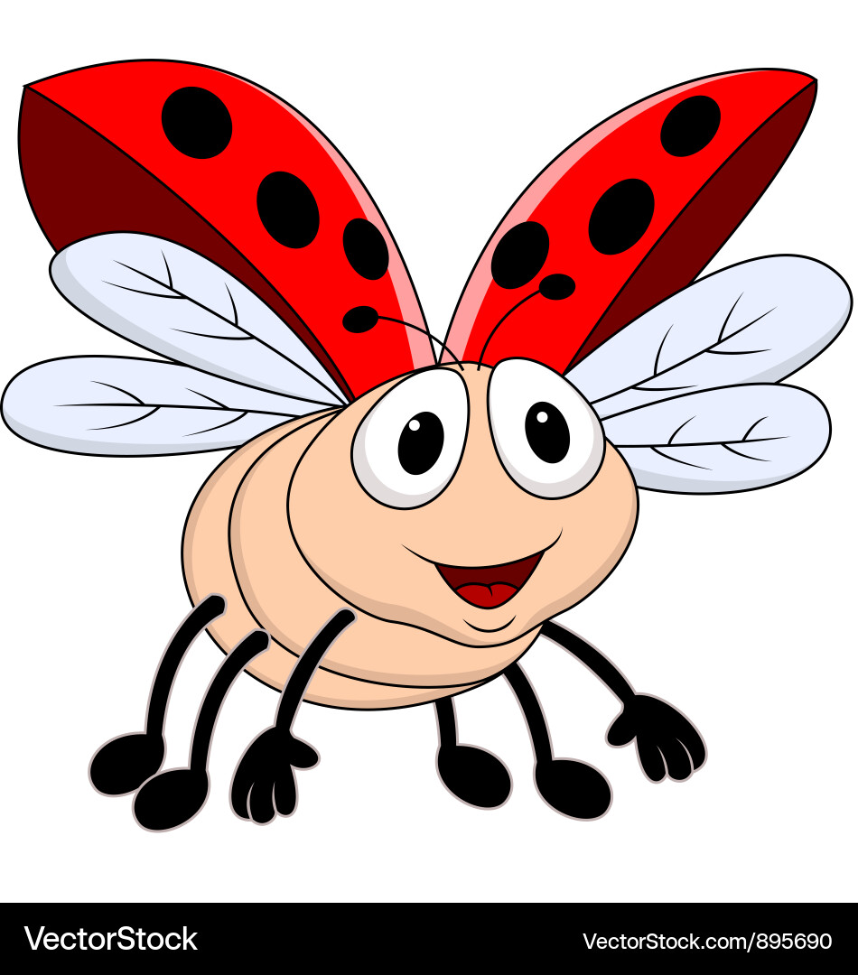 Funny lady bug Royalty Free Vector Image - VectorStock