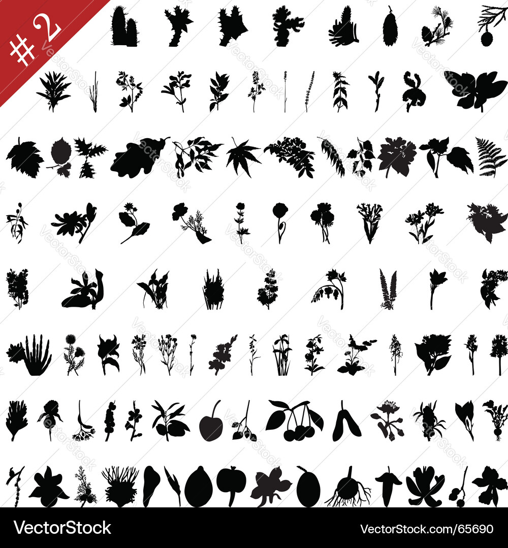 Plants Royalty Free Vector Image - VectorStock