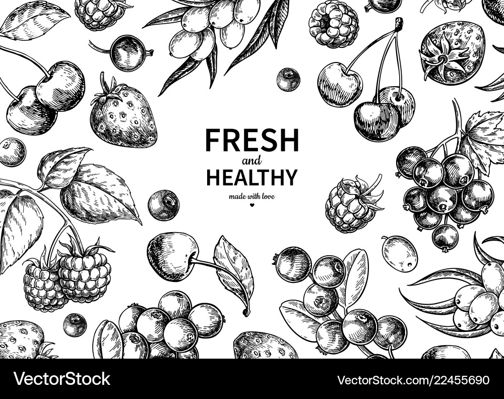 Wild berry drawing hand drawn vintage Royalty Free Vector