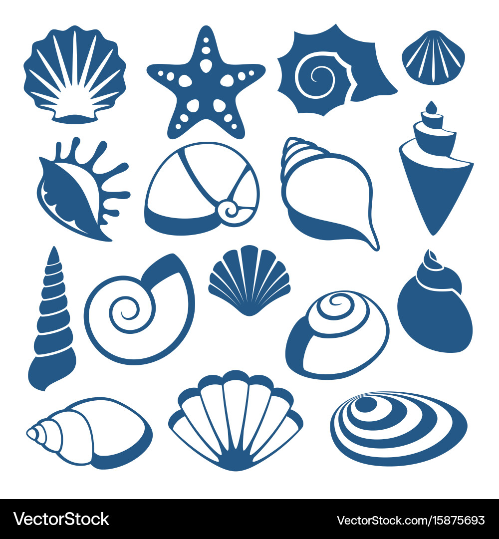 Conch Shell Vector Images (over 8,800)