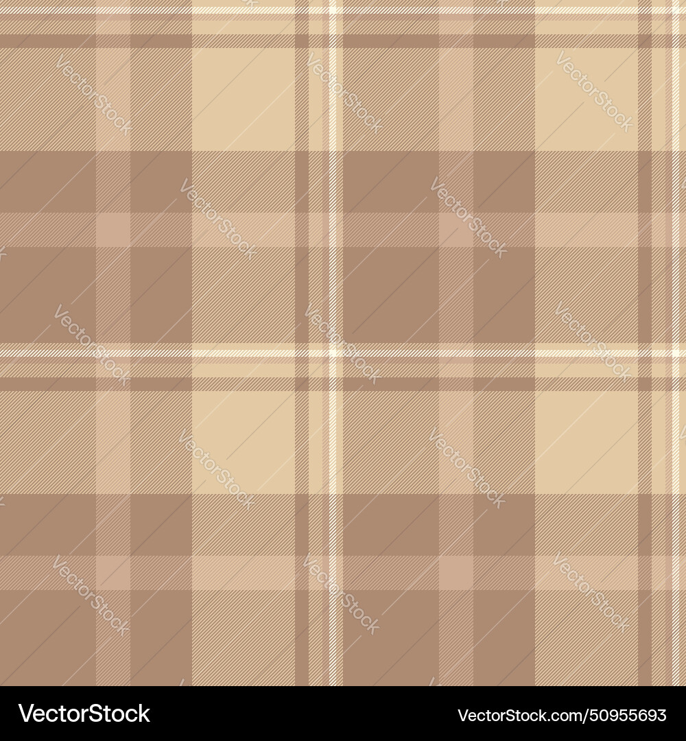 Seamless tartan of textile plaid pattern Vector Image
