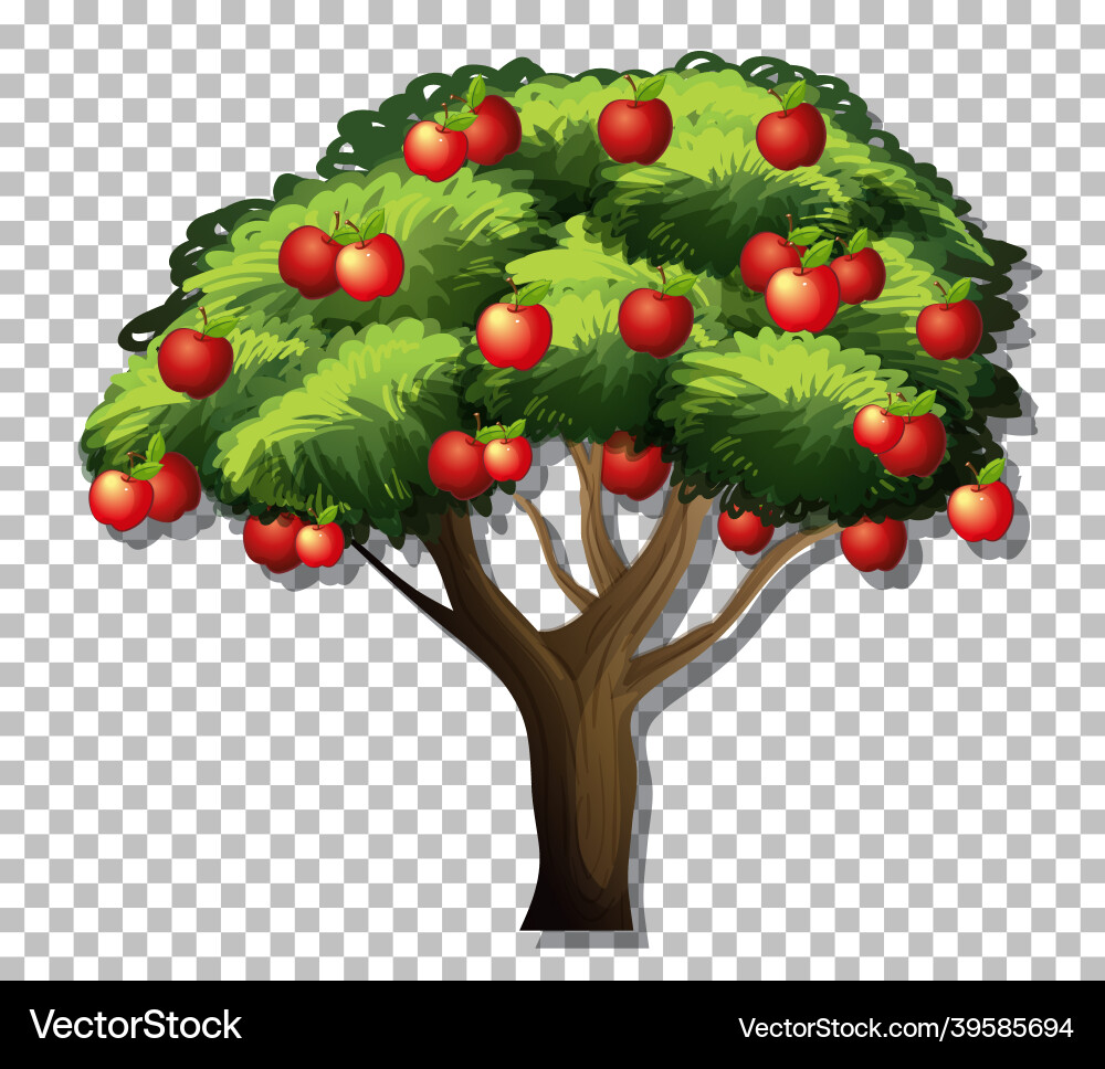 Apple tree on transparent background Royalty Free Vector