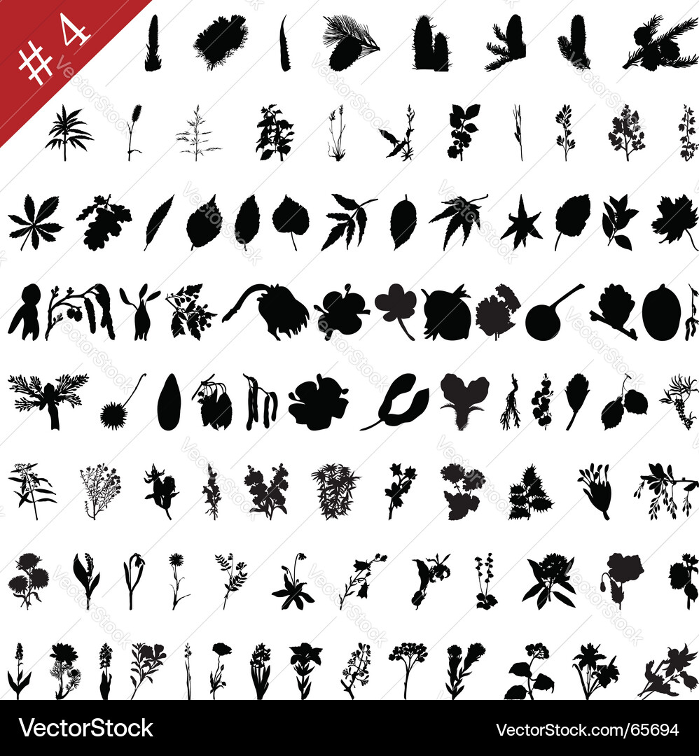 Plants Royalty Free Vector Image - VectorStock