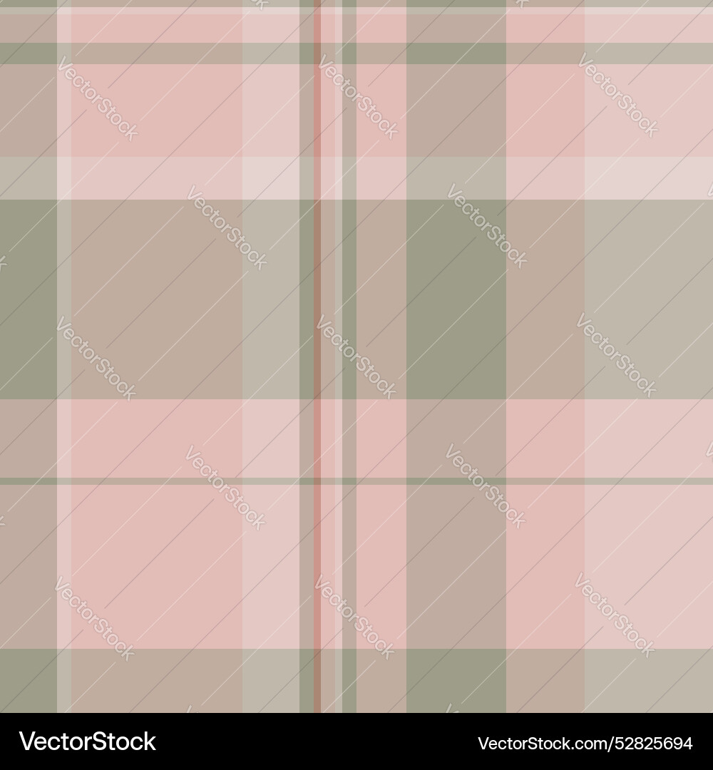 Tattersall fabric background textile delicate Vector Image