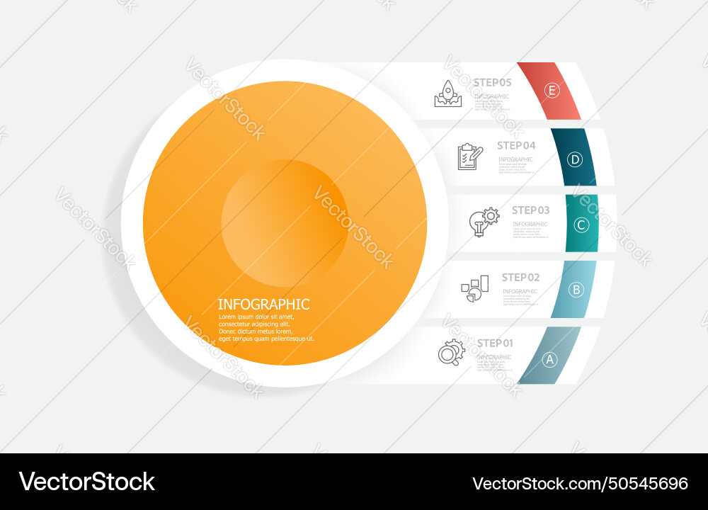 Circle infographics timeline element business Vector Image