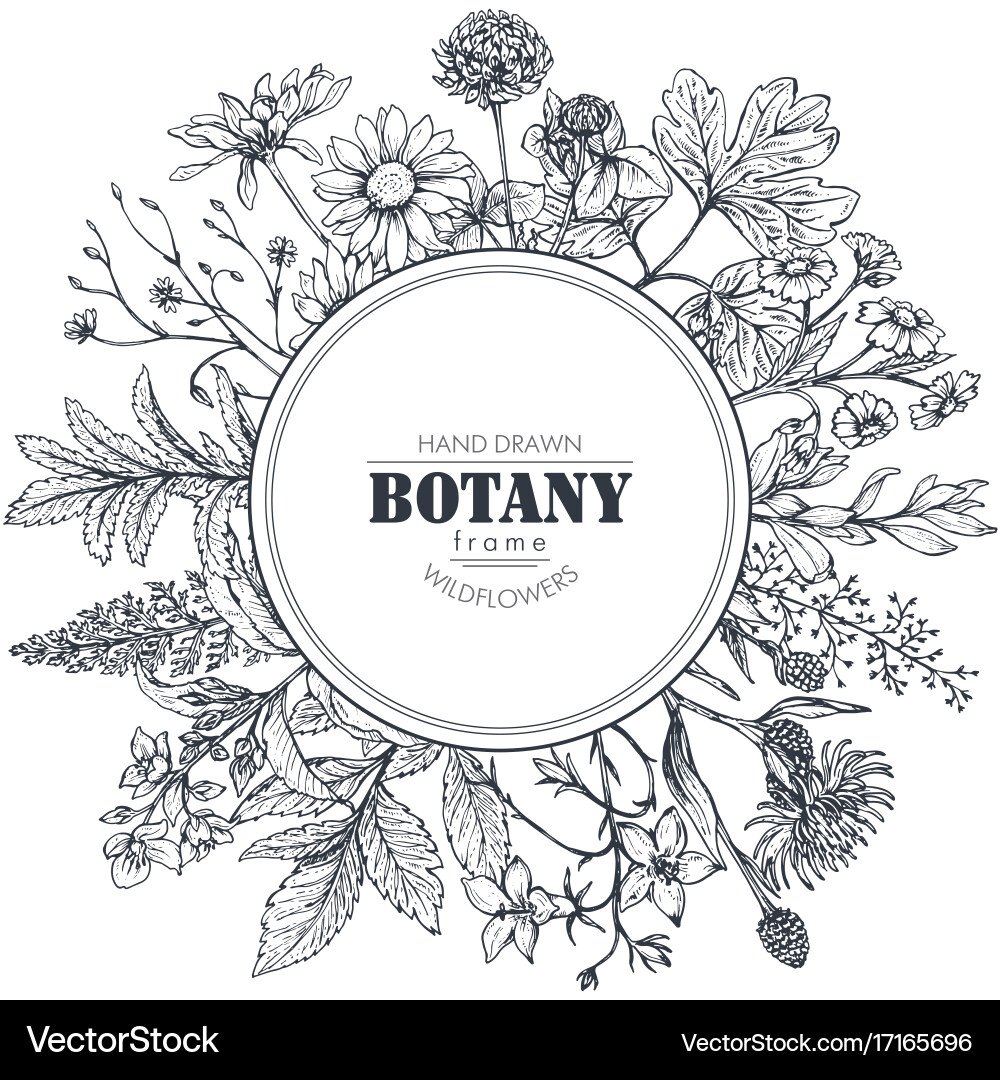 Floral Herb Circle Frame Royalty Free Vector Image