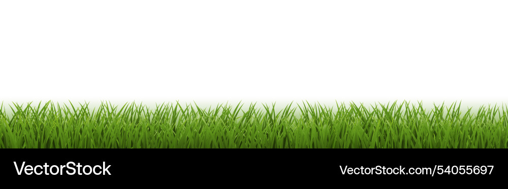 Green grass border isolated white Royalty Free Vector Image