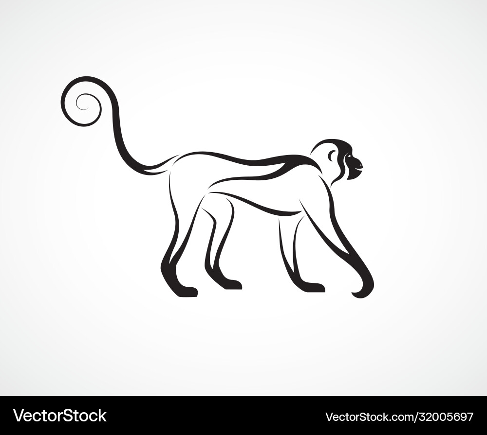 Monkey design on white background wild animal Vector Image