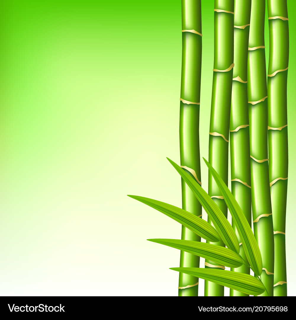 Bamboo branches on green background Royalty Free Vector