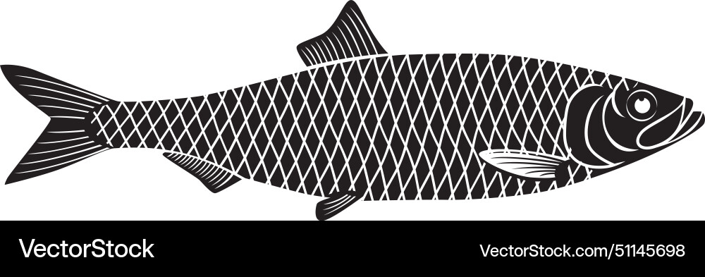 Herring Royalty Free Vector Image - VectorStock