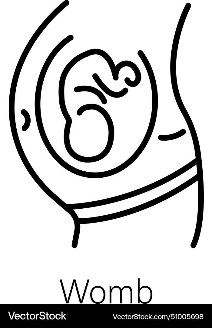Womb Royalty Free Vector Image - VectorStock