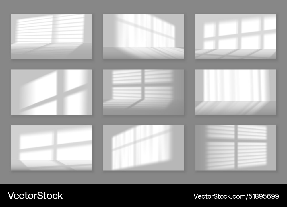 Realistic studio shadow backgrounds natural Vector Image