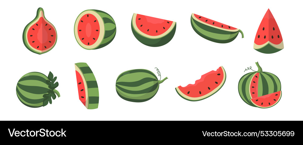 Watermelon icon set red Royalty Free Vector Image