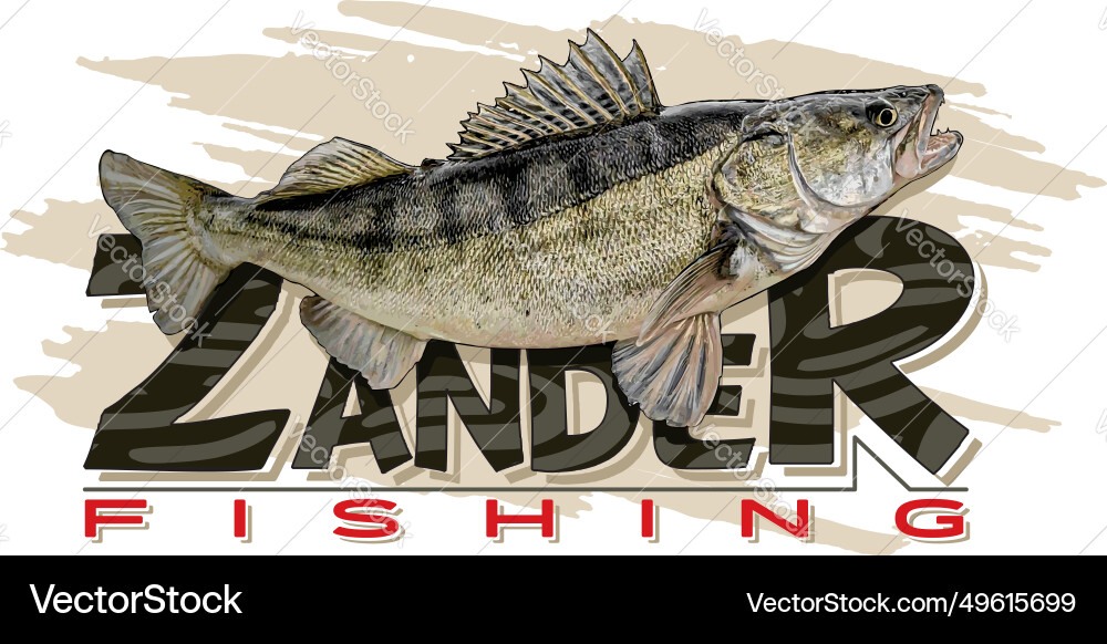 Zander Ice Fishing Predator Royalty Free Vector Image