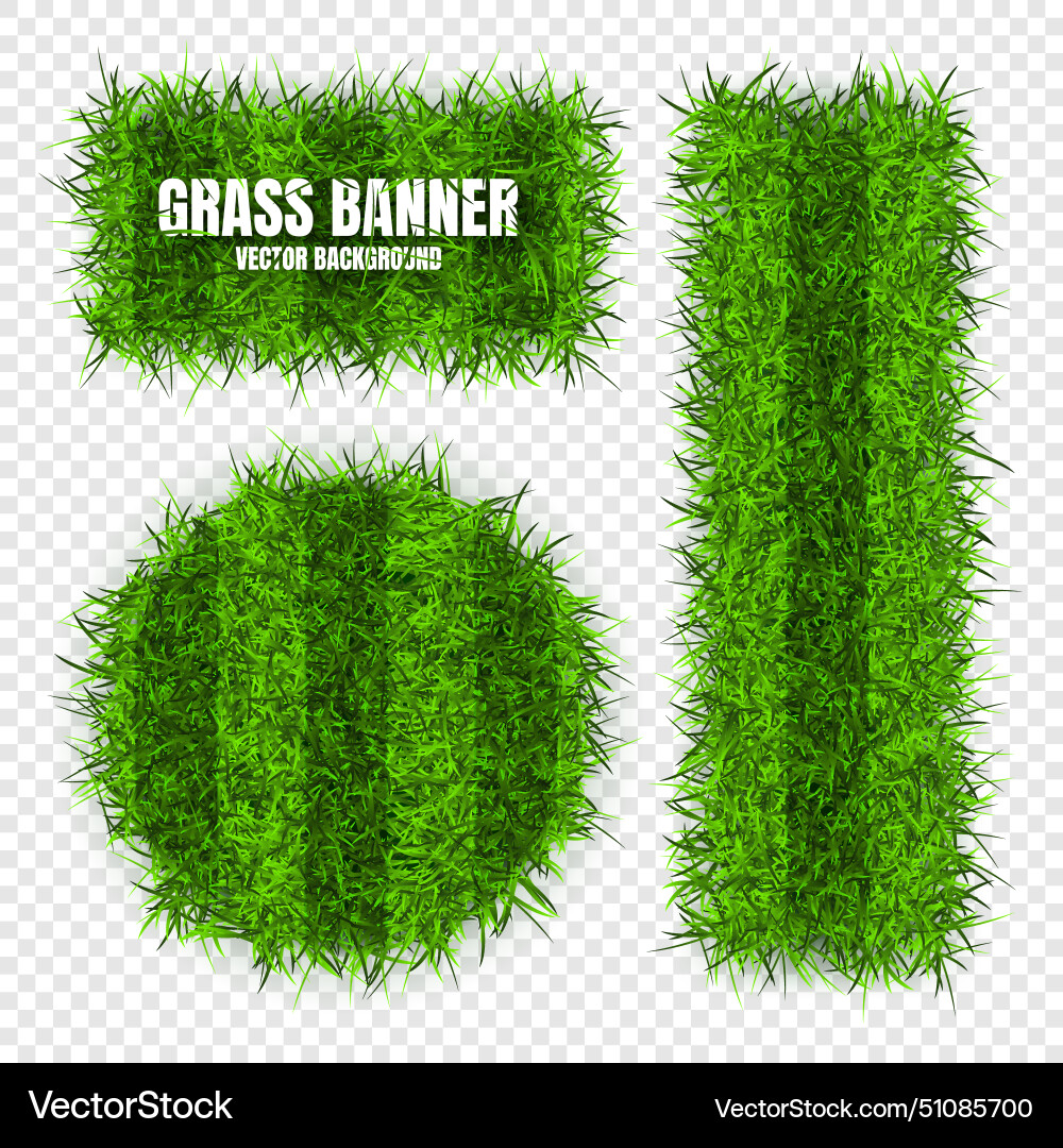 Green grass banners background field meadow Vector Image