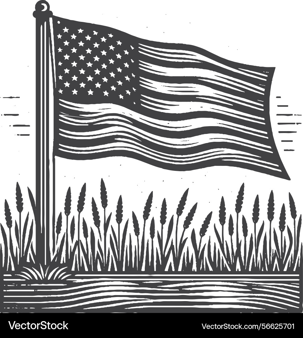 American flag on field in spring patriotic Vector Image