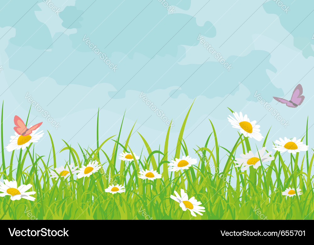 Daisy field Royalty Free Vector Image - VectorStock