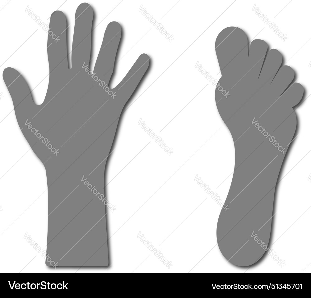 Hand and foot Royalty Free Vector Image - VectorStock