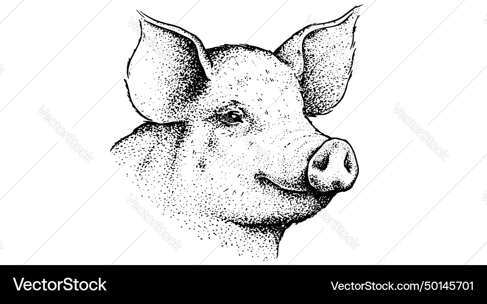 Pork pig head vintage retro print Royalty Free Vector Image