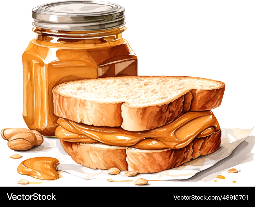 Watercolor Peanut Butter Sandwich Royalty Free Vector Image