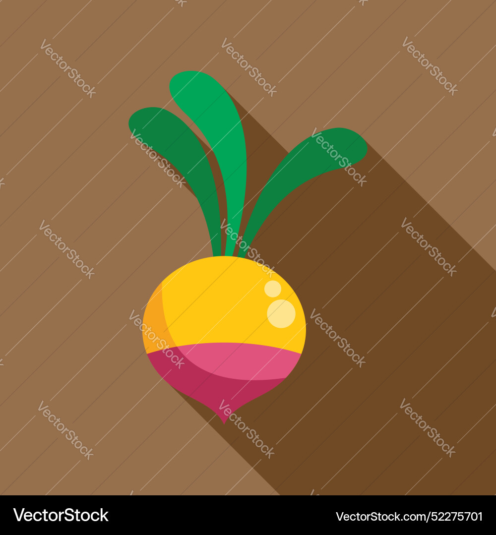 Yellow turnip growing with green leaves flat Vector Image