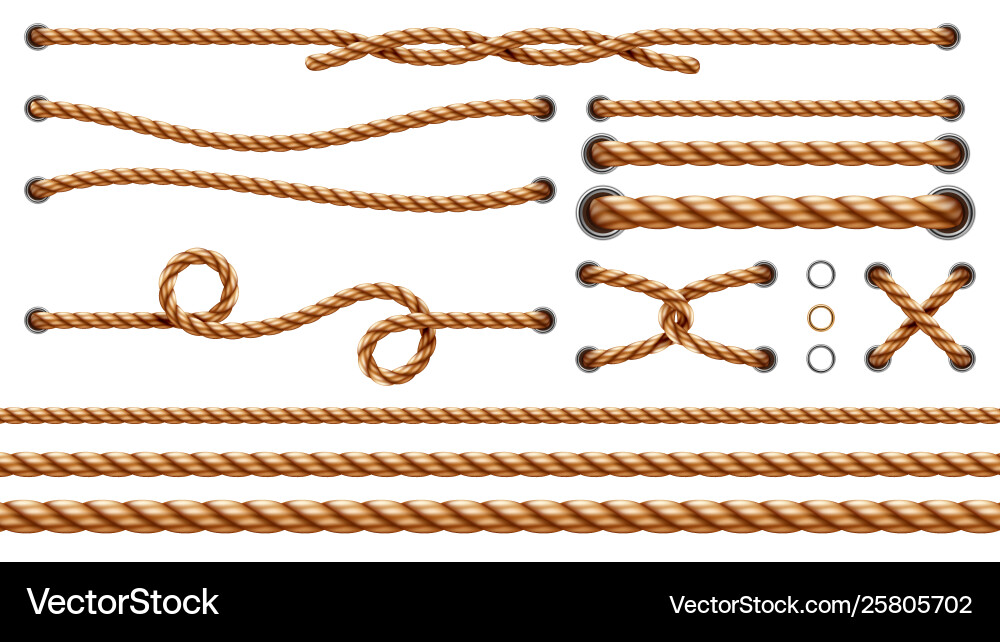 Set isolated straight ropes and tied strings Vector Image