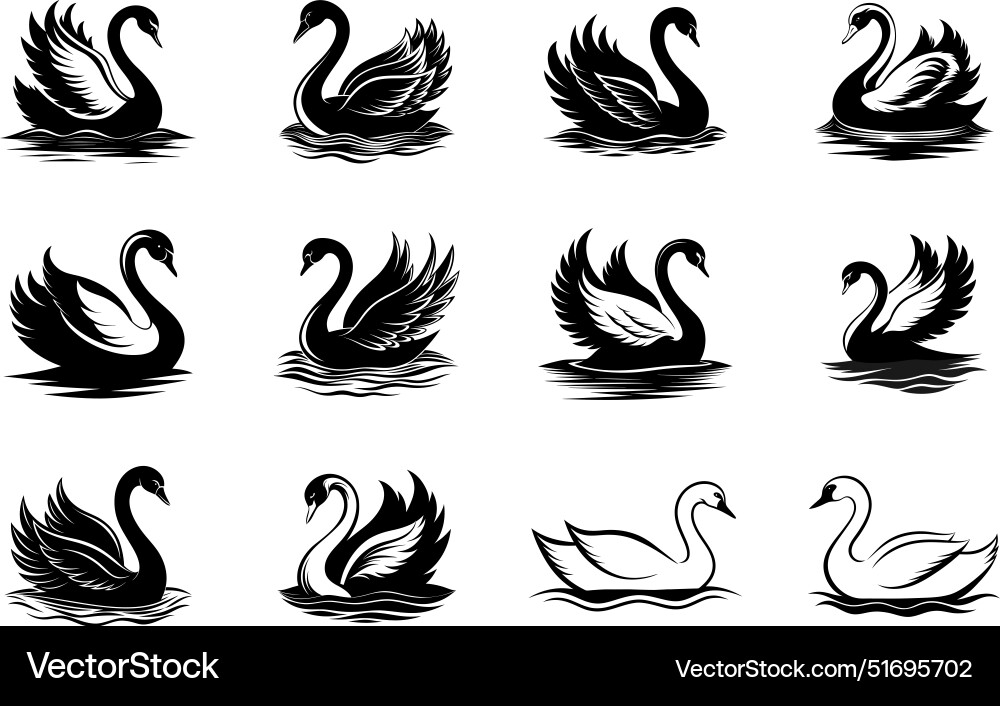Swan set silhouette concept Royalty Free Vector Image