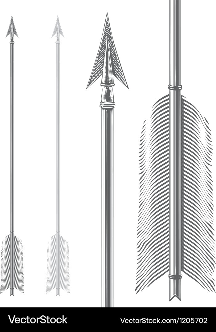 Vintage arrow in engraving style Royalty Free Vector Image