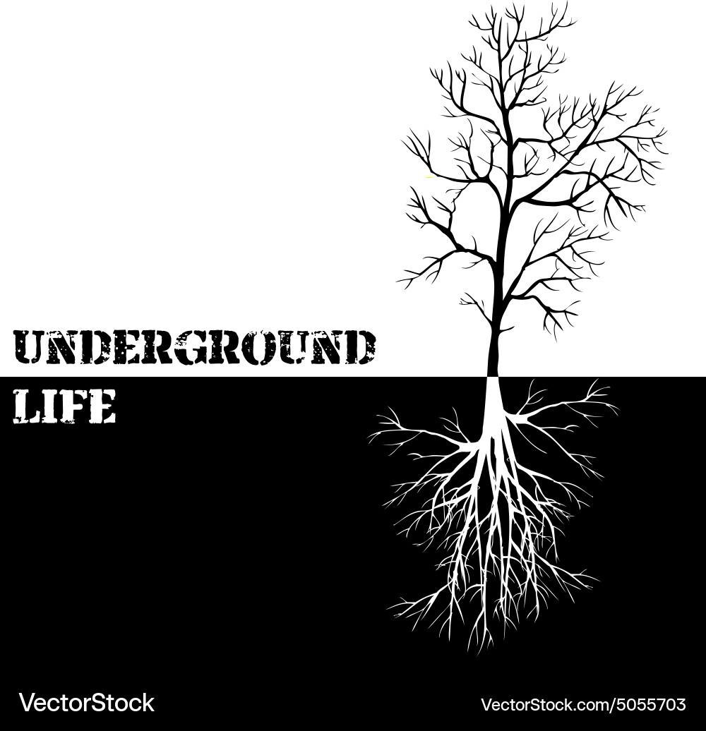 Background with tree and roots Royalty Free Vector Image