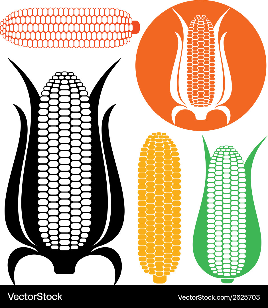 Corn Royalty Free Vector Image - VectorStock