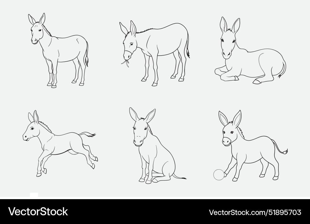 Print stunning donkey line art Royalty Free Vector Image