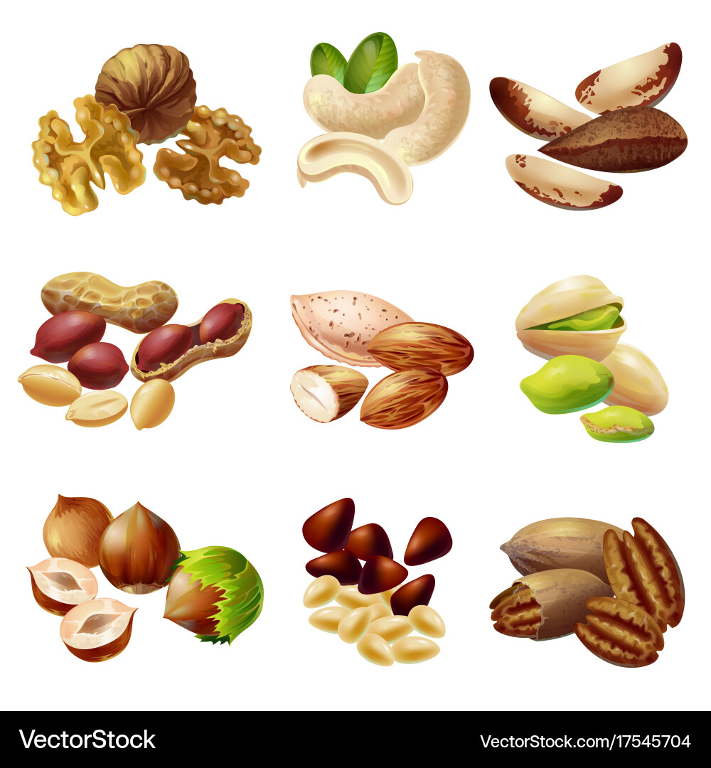 Cartoon healthy nuts set Royalty Free Vector Image