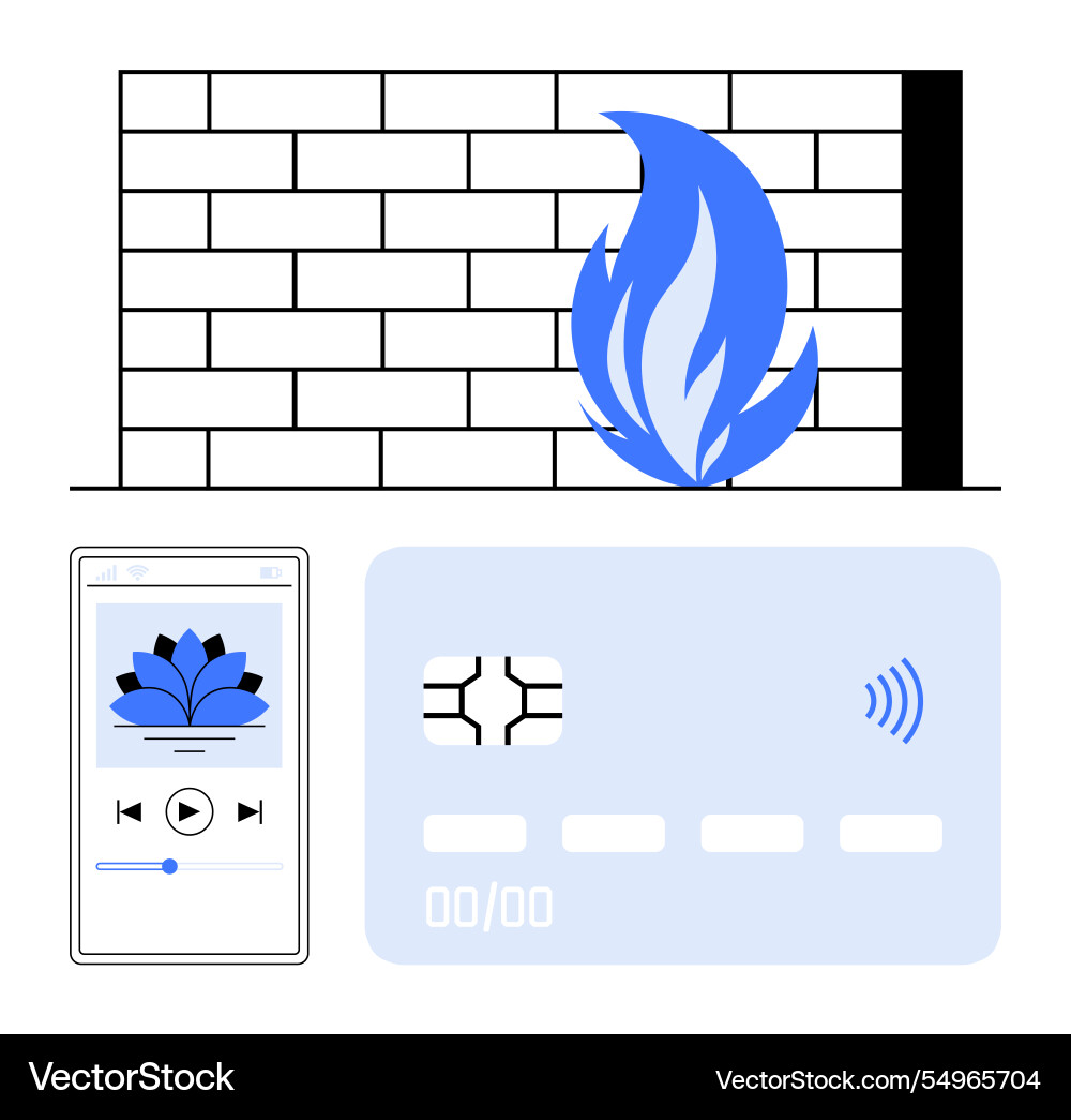 Firewall protection contactless payment card Vector Image