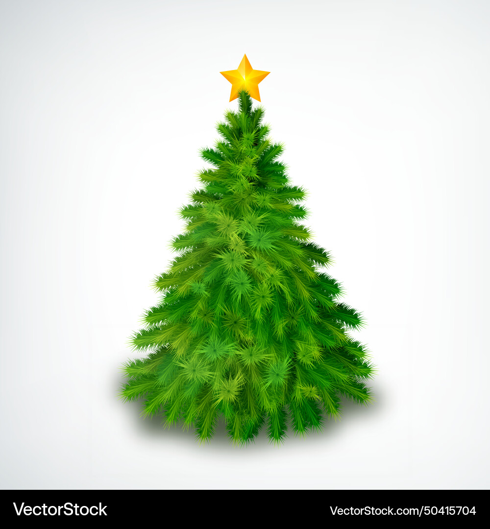 Realistic christmas tree Royalty Free Vector Image