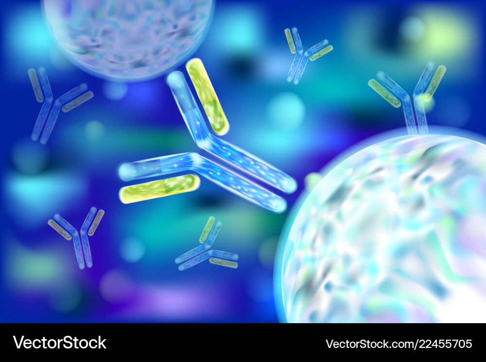 Immunoglobulin Vector Images (over 250)
