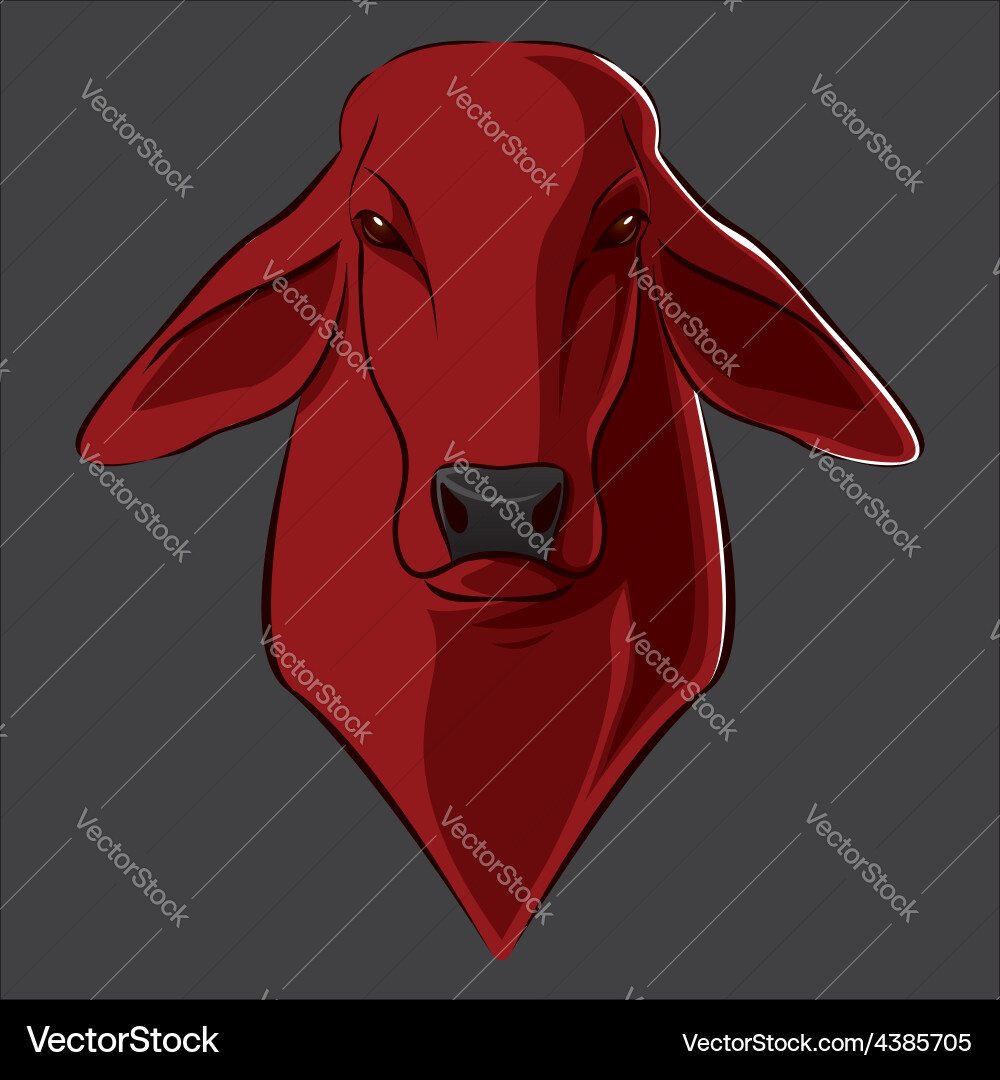 Brahman Cattle Royalty Free Vector Image - VectorStock