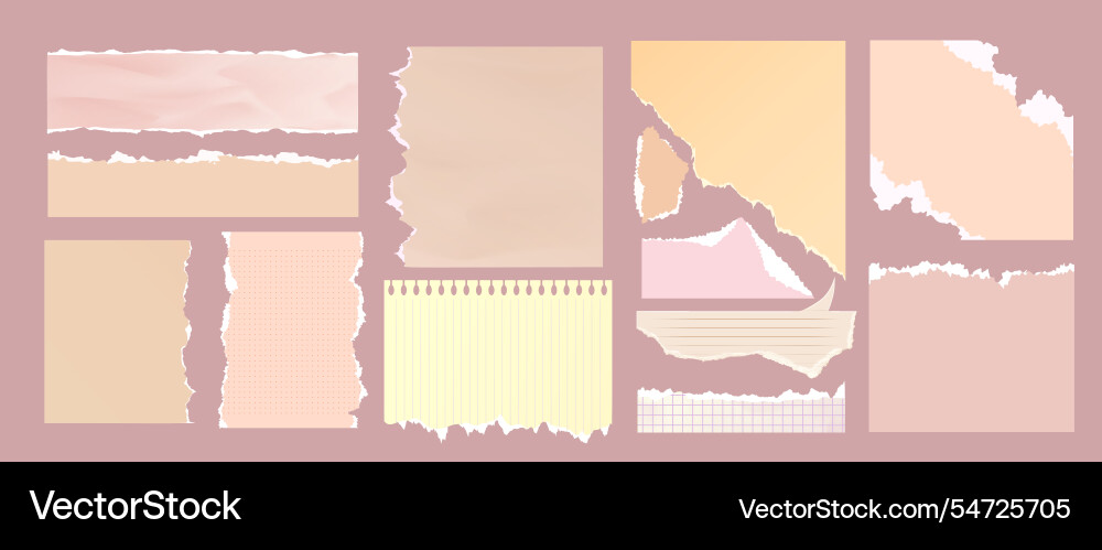 Ripped paper pieces set isolated on beige Vector Image