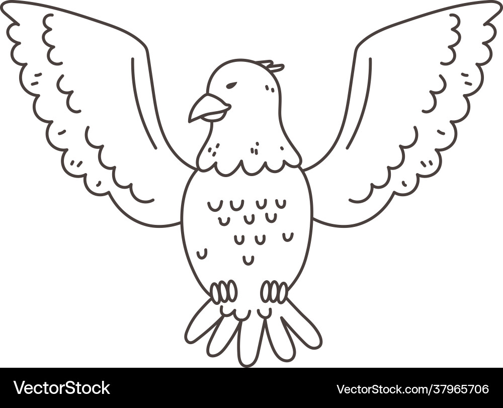 Bald eagle outline Royalty Free Vector Image - VectorStock