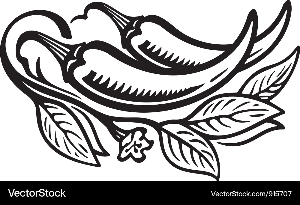 Pepper Royalty Free Vector Image - VectorStock