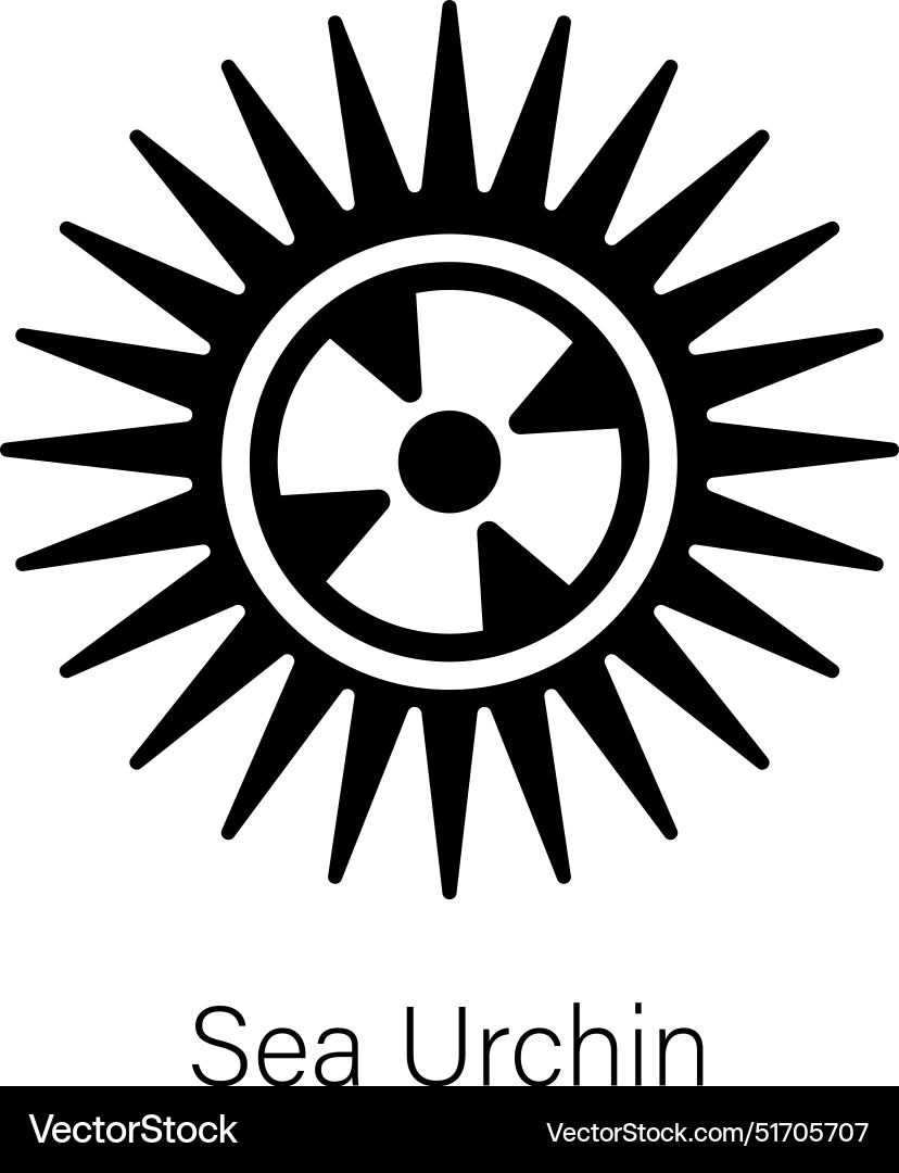 Sea urchin Royalty Free Vector Image - VectorStock