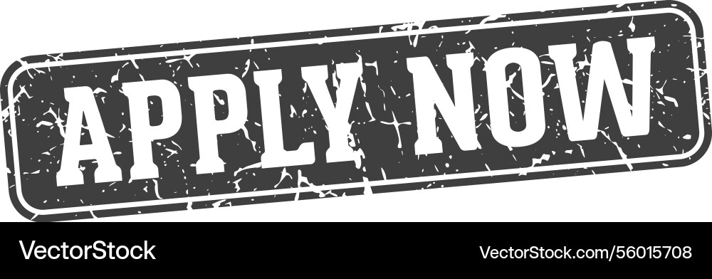 Apply now rectangular sign stamp Royalty Free Vector Image