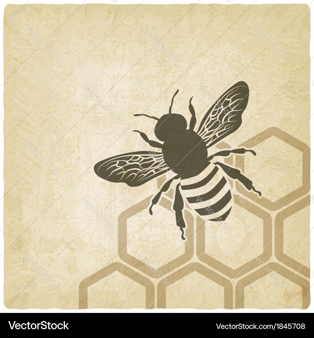 Honey Comb Vector Images (over 14,000)
