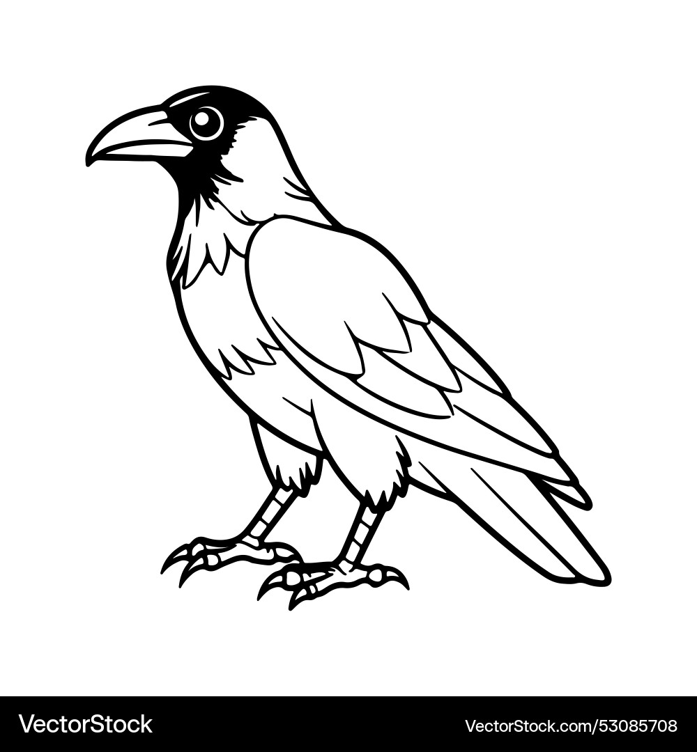 Crow typography calligraphy silhouette Royalty Free Vector