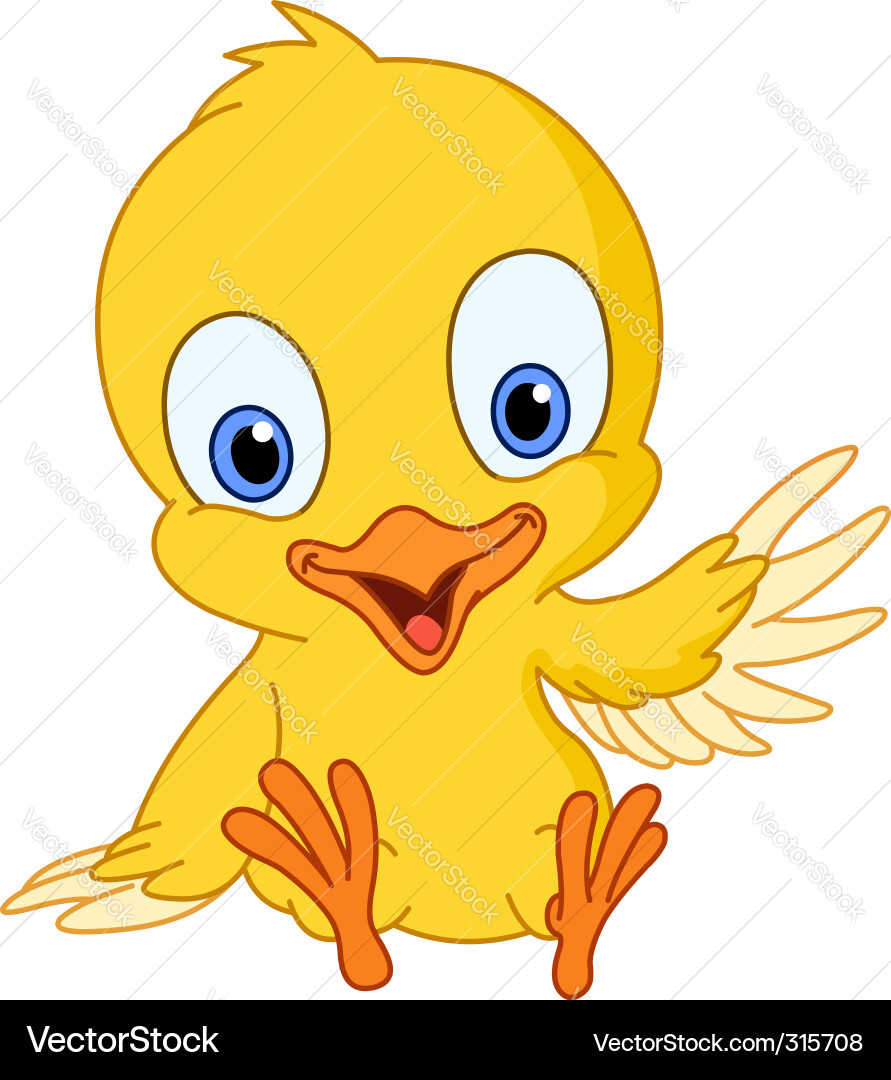 Cute chick Royalty Free Vector Image - VectorStock