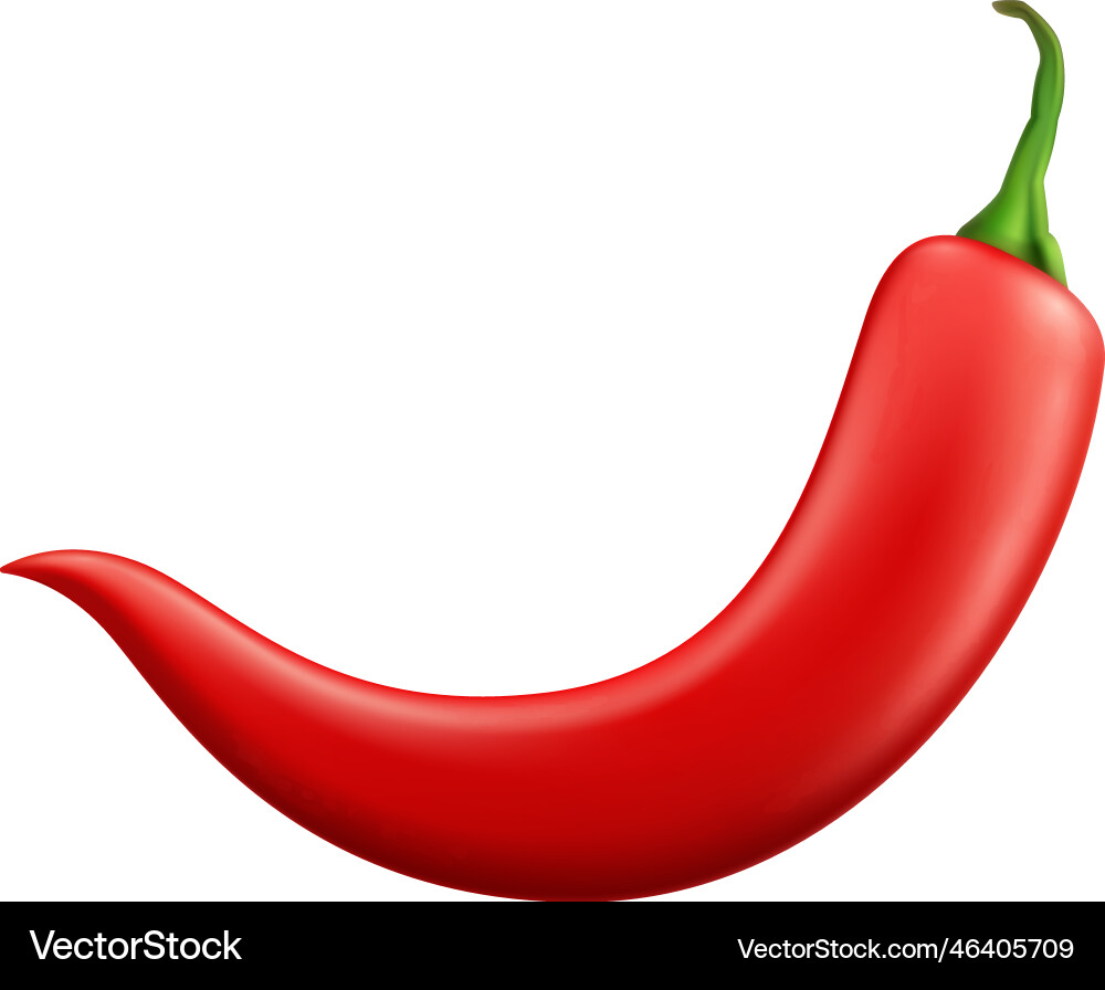 Realistic chili pepper Royalty Free Vector Image