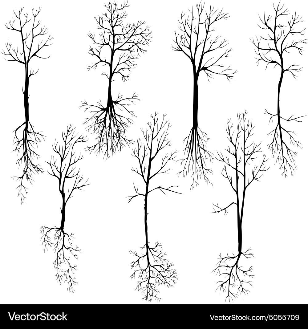 Set of different winter trees and roots Royalty Free Vector